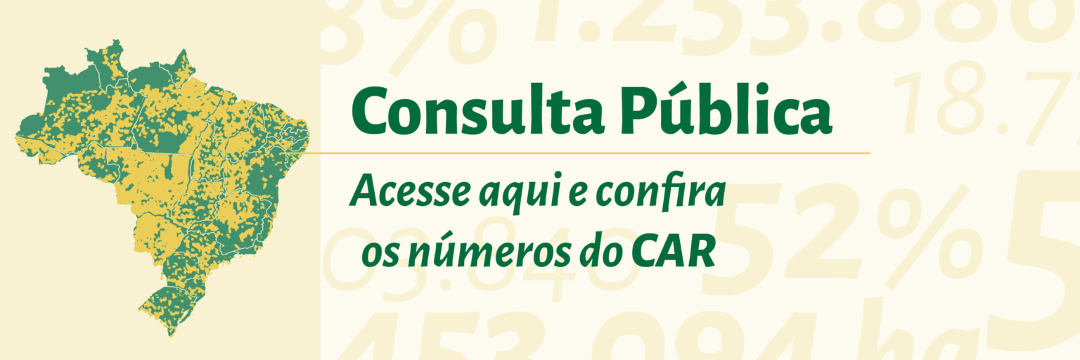 Forest-GIS » Baixar dados CAR